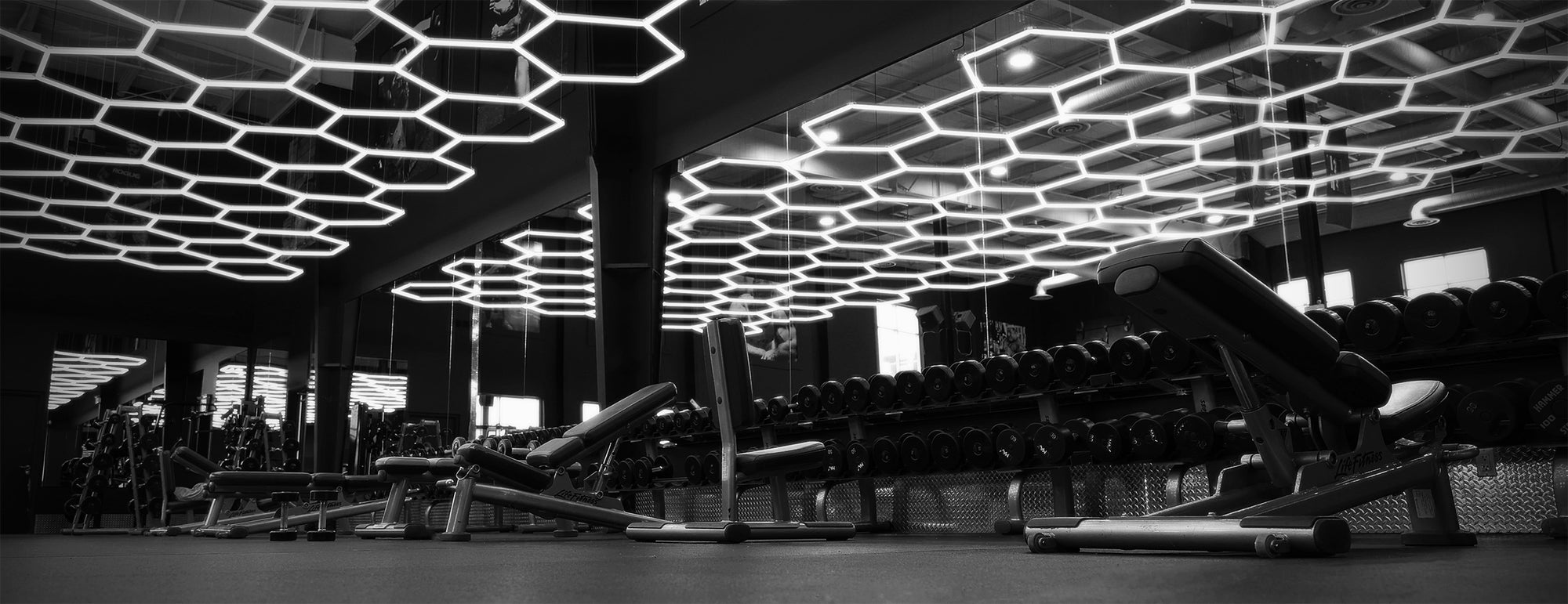 Viking Strength – Viking Strength