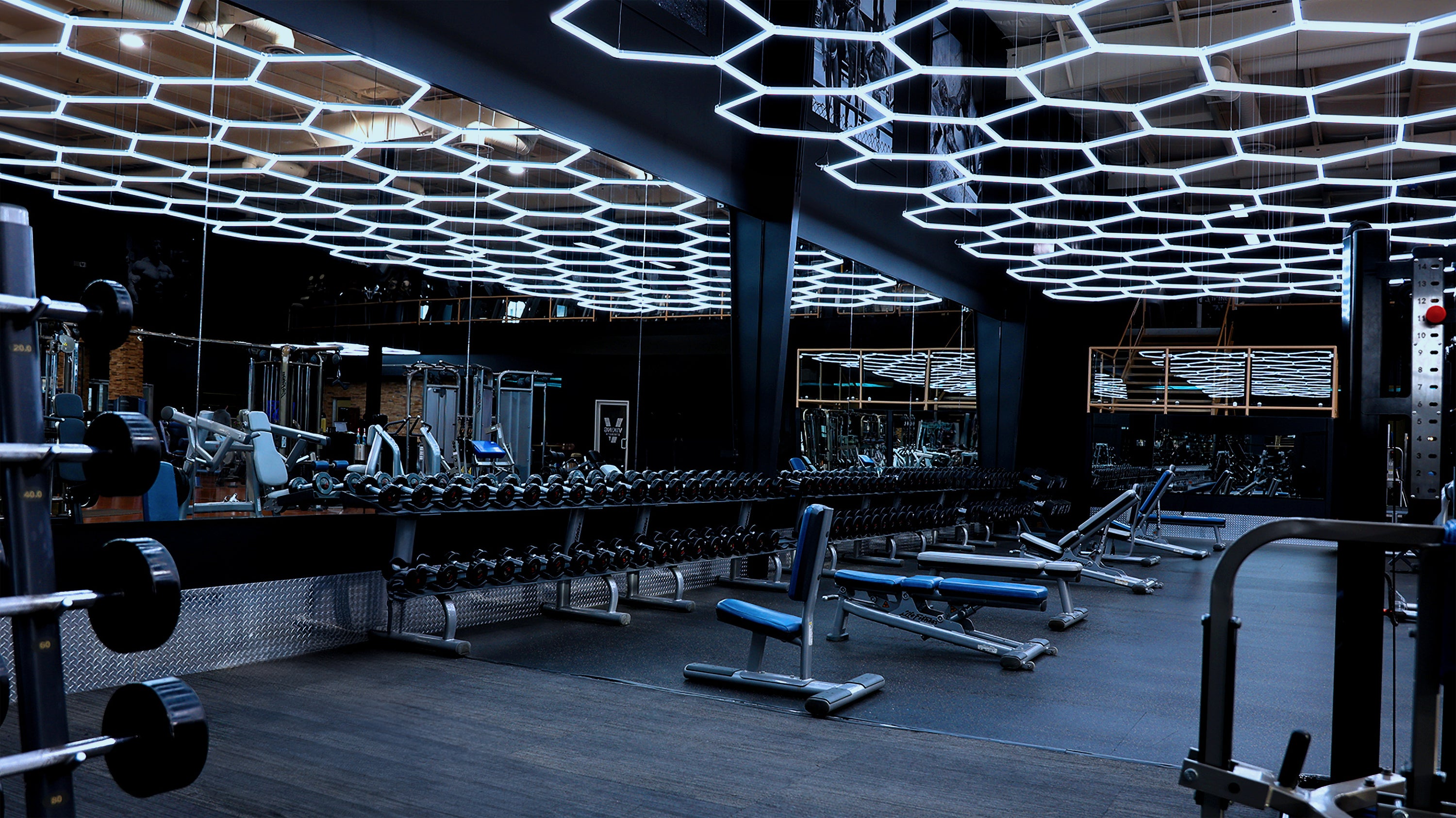 Viking Strength – Viking Strength
